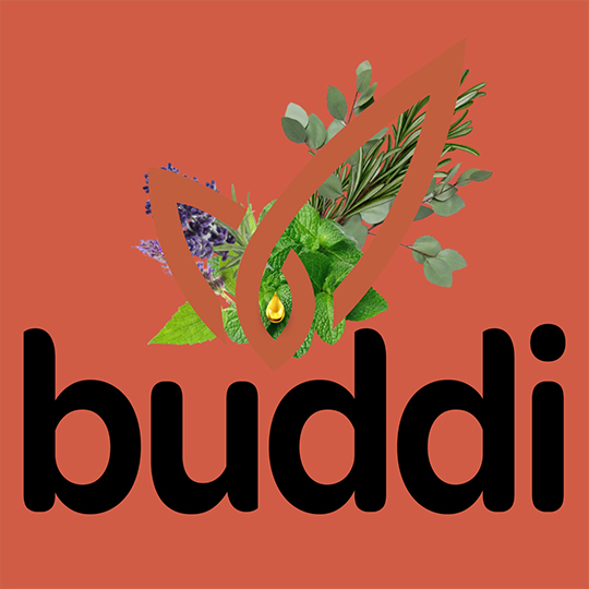Buddi The All Rounder 200ml Spray – ilovedagga